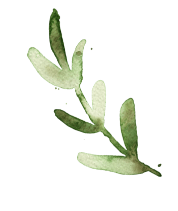 Crystal and Baltic Amber Jewelry- MacRae Naturals